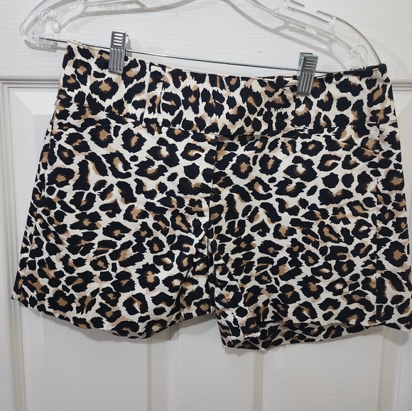 White House Black Market | Shorts | Leopard Print Short Shorts | Poshmark